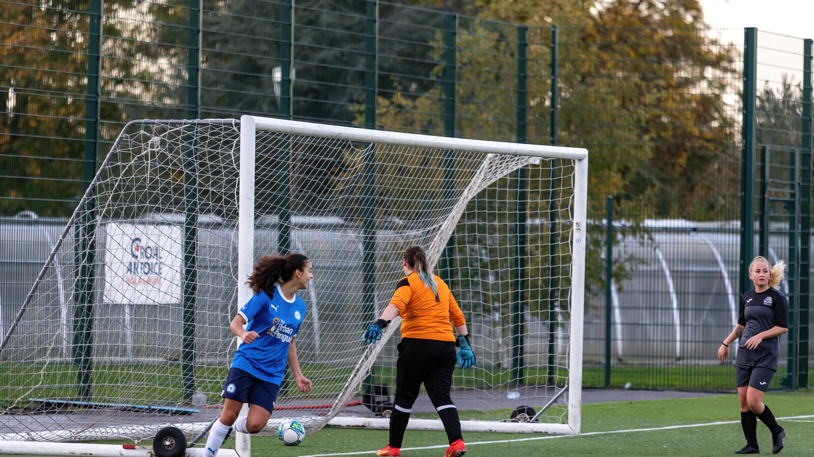Posh Women Development Squad Secure Victory Over Thrapston Town Ladies ...